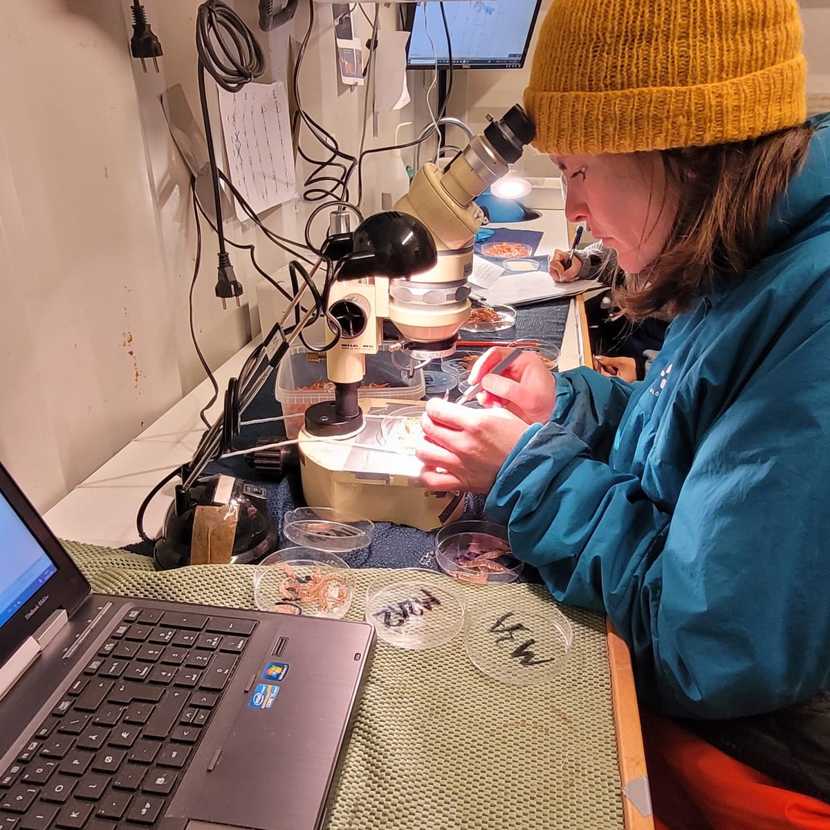 Aker BioMarine's collaborative venture with the Norwegian Institute of ...